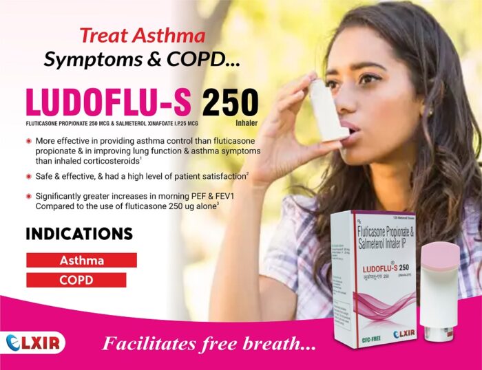LUDOFLU-S 250 Inhaler Respiratory Product Pharma Franchise Company in ...