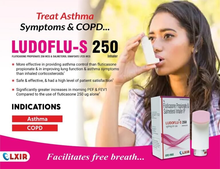 LUDOFLU-S 250 Inhaler Respiratory Product Pharma Franchise Company in ...